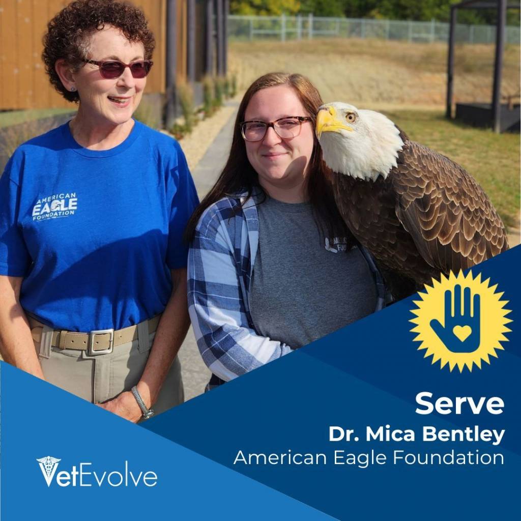 Serve: VetEvolve Highlights How Team Members Give Back to Their Communities - Veterinary ...