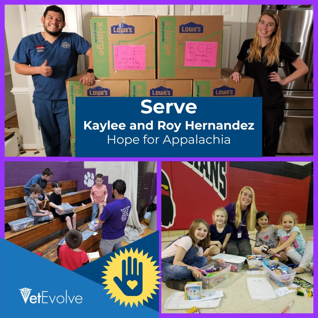 Serve: VetEvolve Highlights How Team Members Give Back to Their ...