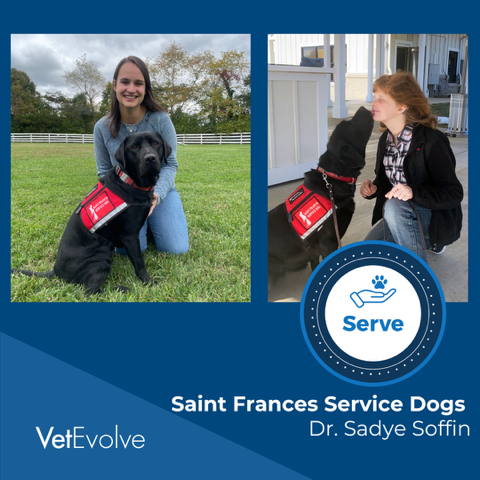 Serve 2024: Highlighting How VetEvolve Team Members Give Back ...